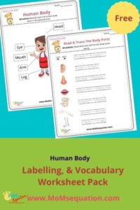 Learn, Trace & Match The Human Body Parts- Kindergarten Science ...