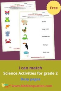 I Can Match Animals External Features - Science Worksheets - Mom'sEquation