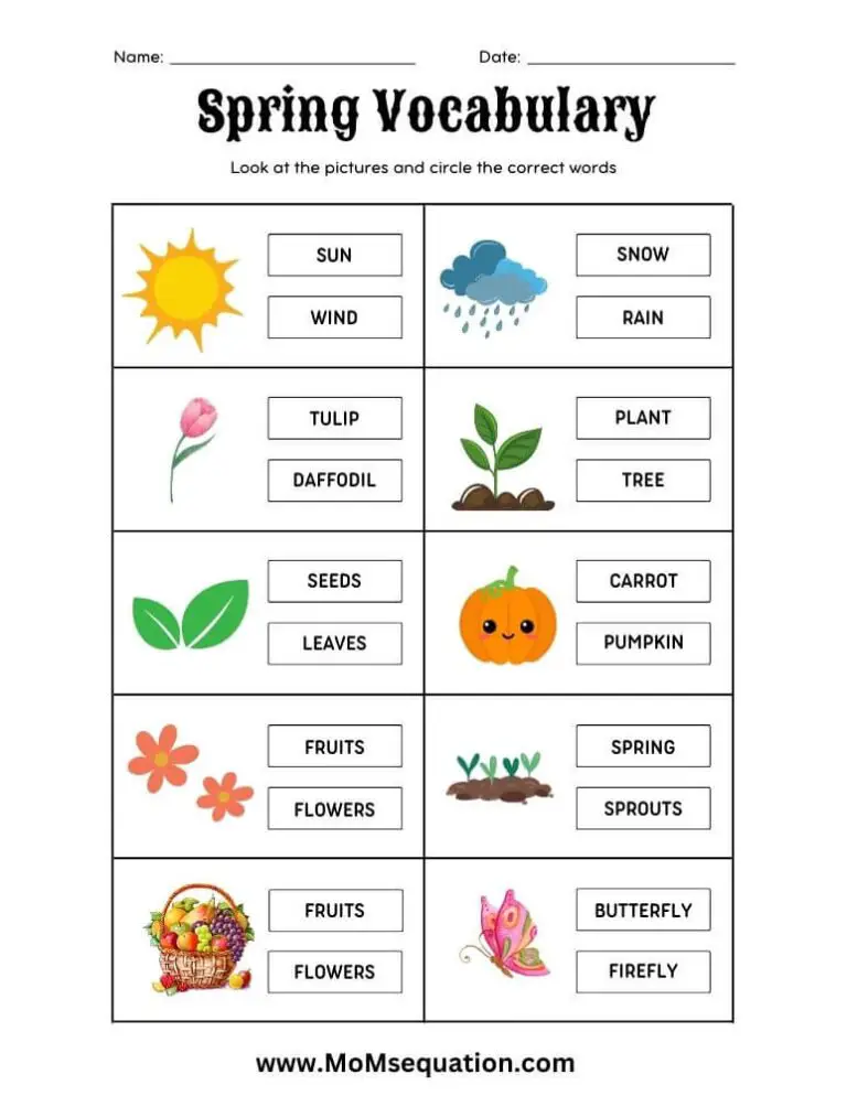 Spring Vocabulary Worksheets PDF - Mom'sEquation
